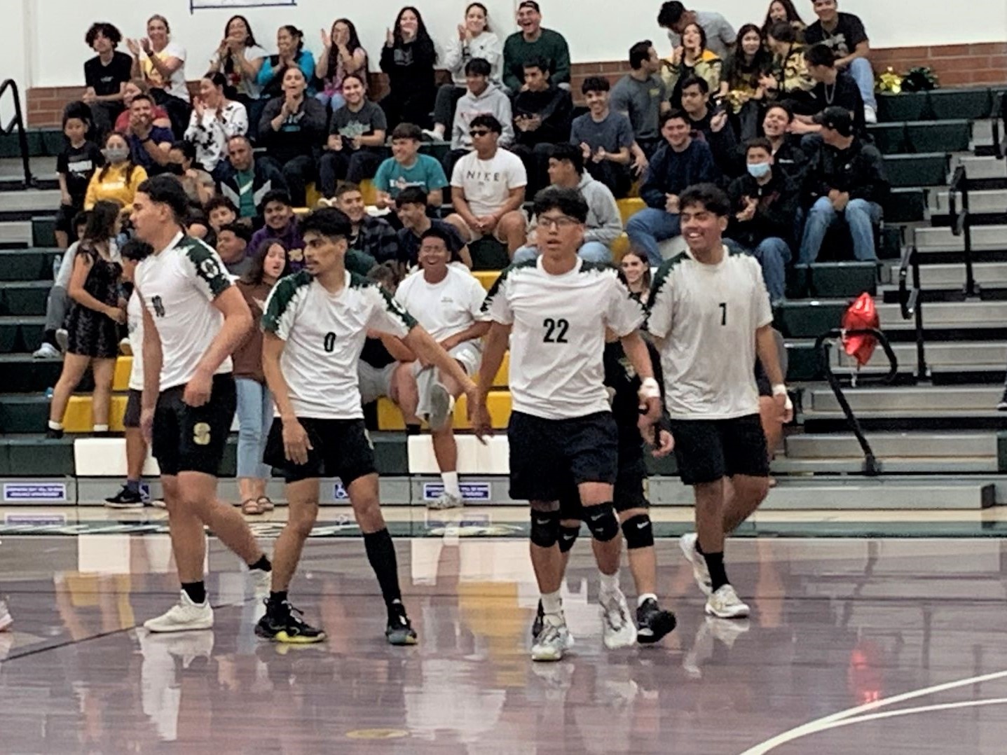 Top-seeded Saddleback Roadrunners go for first CIF title Saturday vs ...